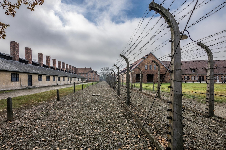 Auschwitz-Birkenau English Guided Tour with Pick-Up | musement