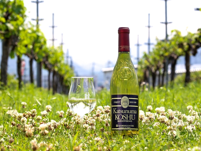 Special Wine Tour at Shirayuri Winery in Katsunuma Yamanashi | musement