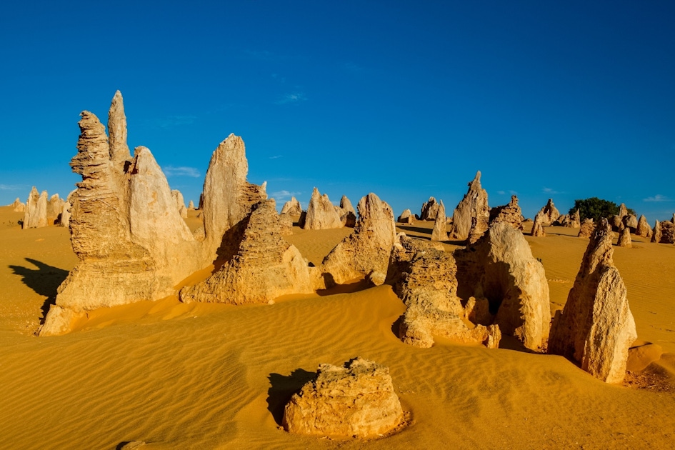 Pinnacles and Swan Valley Full-day Guided Tour | musement