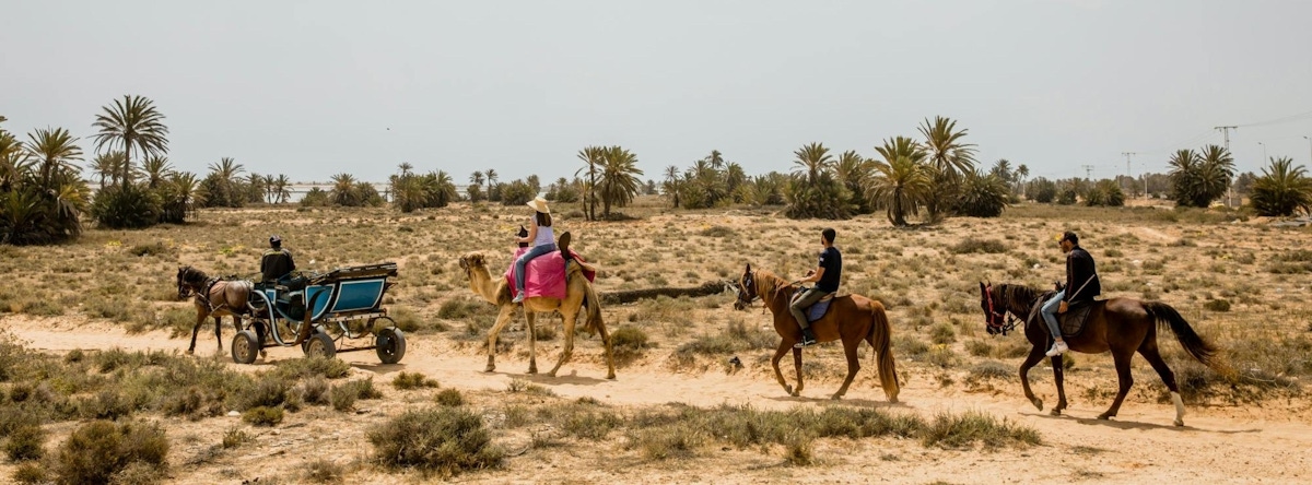Camel, horse and carriage tour of Djerba's countryside | musement