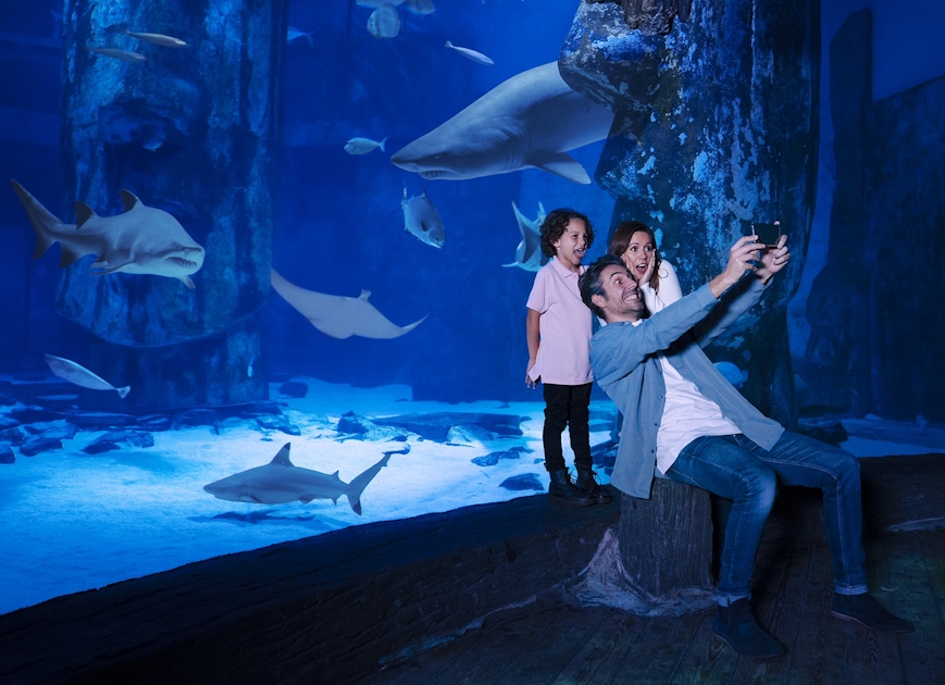 Entradas Hopper para LEGOLAND® California y el acuario SEA LIFE® | musement