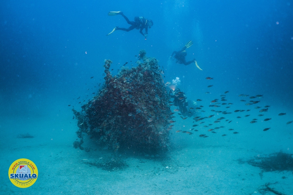 Double dive with transfer by Skualo Portocolom | musement