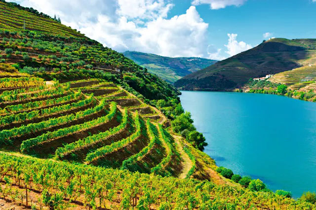 Cały dzień na wycieczce do Doliny Douro z degustacją wina i rejsem ...
